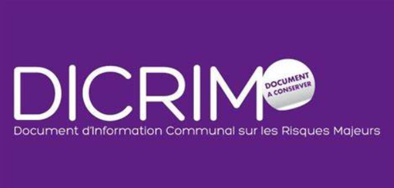 Mairie de Pars-lès-Romilly - DICRIM - Risques Majeurs - article